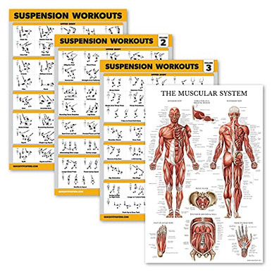 Palace Learning 4 Pack - Suspension Workout Posters Volume 1- 2 and 3 ...