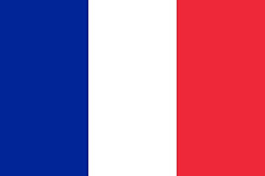 SecurePro Products Large 4inch x 6inch Rectangular France Flag Decal ...