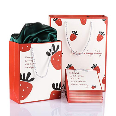 Dressplus Mulited Color Paper Gift Bag-12 Paper Gift Bags in Assorted ...