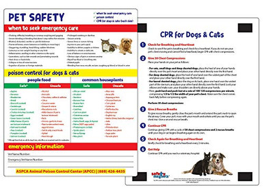 Pet Emergency Card - Animal Safe Plants and Food Chart - CPR Dogs and ...