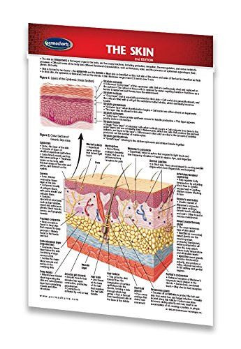 Skin - Human Skin Guide - Pocket Size Chart - Medical Quick Reference ...
