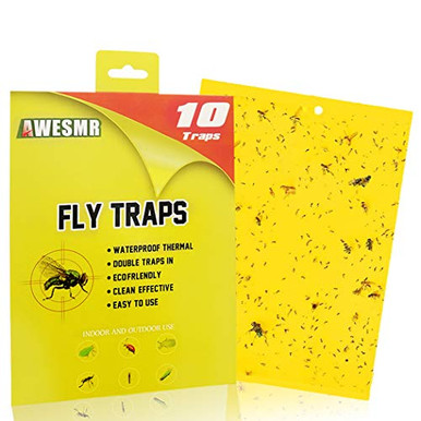 Fly Traps- Fruit Fly Trap Suitable for Indoor/Outdoor Plant Flying ...