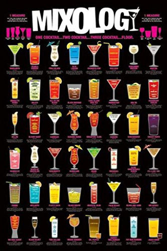 Pyramid America Mixology Cocktail Mixed Drinks Chart Cool Wall Decor ...