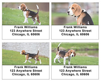 Beagle Puppy Address Labels - Warehousesoverstock