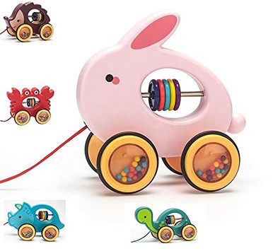 KIDDOS Pull Along Rolling Animal Toy- 12 Months and Up Push and Pull ...