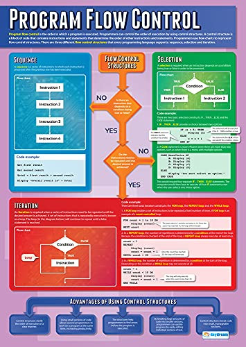Program Flow Control | Computer Science Posters | Gloss Paper measuring ...