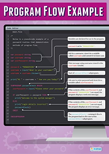 Program Flow Control Example | Computer Science Posters | Gloss Paper ...