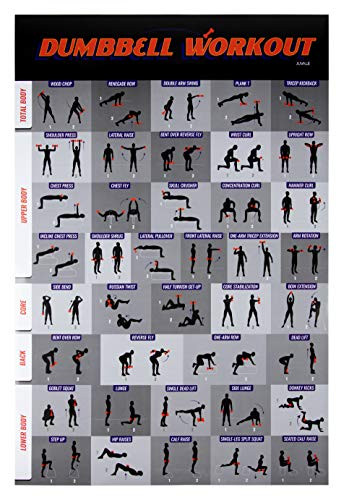 Workout Poster - Dumbbell Exercise Poster Laminated Free Weight ...