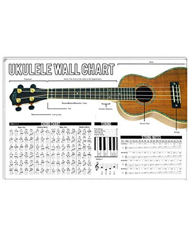 ANM 4Love Ukulele Poster Music Ukulele Wall Chart Chord Chart Tuning ...