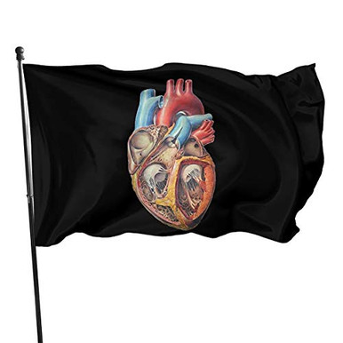 Taemitrs Human Anatomy Heart Chart Flag 3x5 Outdoor Flags Banner Indoor ...