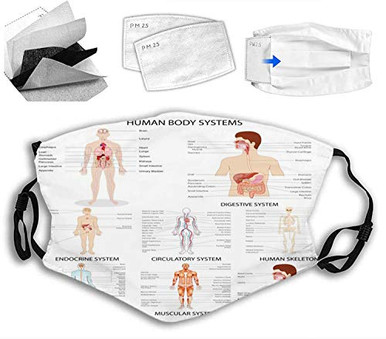 Human Anatomy Women Men Boys Girls Dustproof Complete Chart Different ...