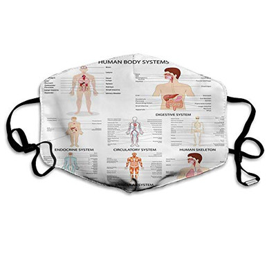 Funny Activated carbon mask Facial decorations for adults masks Anatomy ...