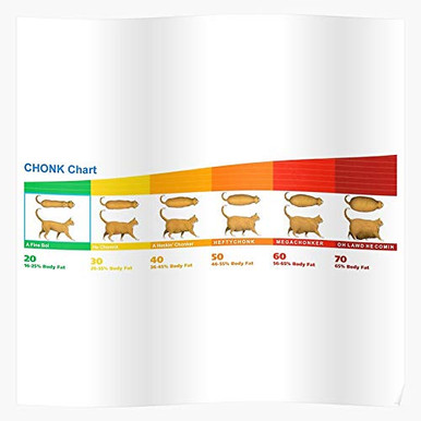 Fsghilomena Chart Chonk Cute Cat Cats Funny Adorable Meme Impressive ...