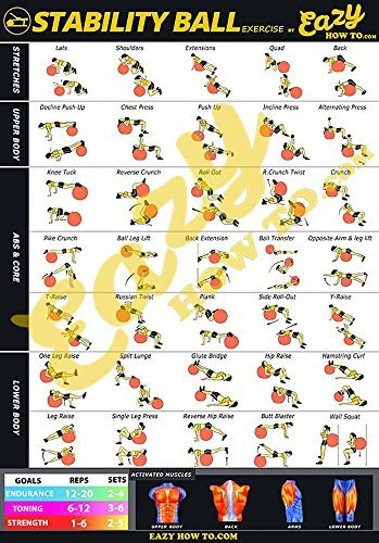 Eazy How To Stability Ball Exercise Workout Poster Big 20 x 28 Train ...
