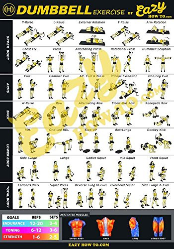 Eazy How To Dumbbell Exercise Workout Poster Big 20 x 28 Now Increased ...