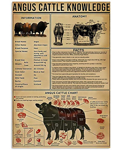 TIME CITY Cattle Knowledge Poster Famer Angus Cattle Information ...
