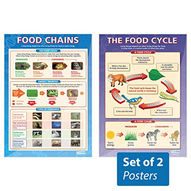 The Food Cycle and Food Chains Posters - Set of 2 | Science Posters ...