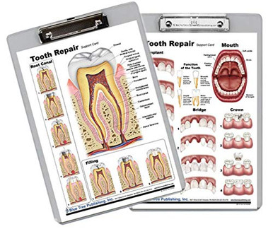 Tooth Repair chart with clipboard- two sided chart - Warehousesoverstock