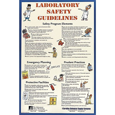 Carolina Laboratory Safety Guidelines Chart - Warehousesoverstock