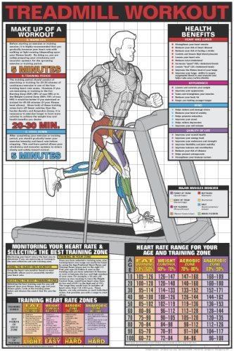 Treadmill Workout 24inch X 36inch Laminated Chart - Warehousesoverstock