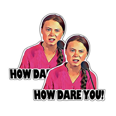 2-Pack How Dare You Bumper Sticker Decal Greta Thunberg Decal-Funny ...