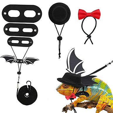 Bearded Dragon Lizard Leash Harness Valentine's Day Gift - Adjustable 3 ...