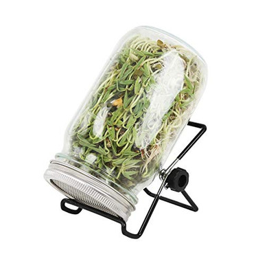 Seed Sprouting Jar Kit Include Sprouting Screen Lids Stands -KISSTAKER ...