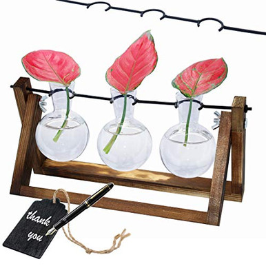 Desktop Glass Planter Terrarium Vase Planter Bulb Vase with Retro Solid ...