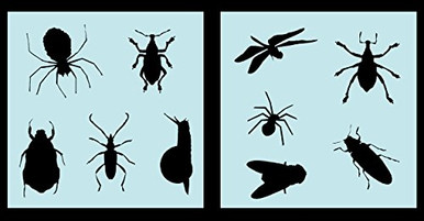 Auto Vynamics - STENCIL-ANIMALS-INSECTSET01-10 - Detailed Bugs and ...
