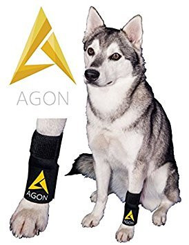 Agon Dog Canine Front Leg Brace Paw Compression Wraps With Protects ...