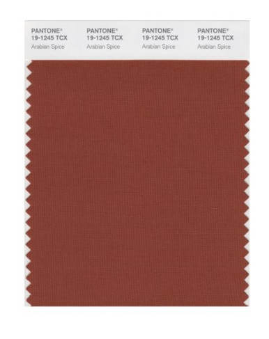 PANTONE Smart 19-1245X Color Swatch Card, Arabian Spice ...