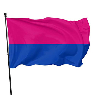 MINIOZE Cisgender Pride Flag Themed Welcome Party Outdoor Outside ...