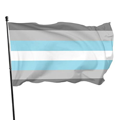 DUANDUAN Demiboy Demi Boy Pride Flag Themed Welcome Home House Garden ...