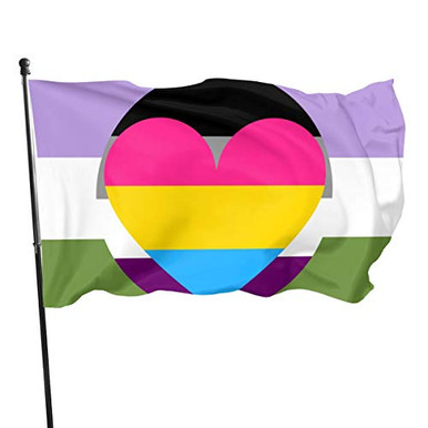 DUANDUAN Genderqueer Asexual Panromantic Ace Pan Herat Pride Flag ...