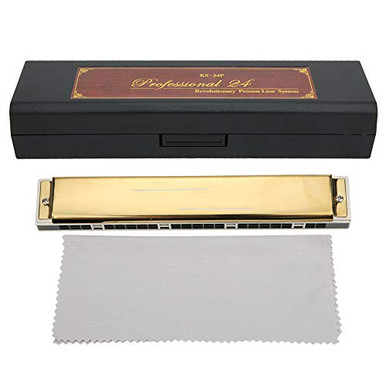 24 Hole Harmonica 24 Hole Tremolo Harmonica Wind Instrument Musical ...
