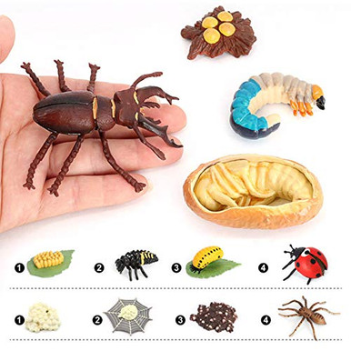 helegeSONG 4 PCS Ladybug Spider Creature Life Cycle Model Figure ...