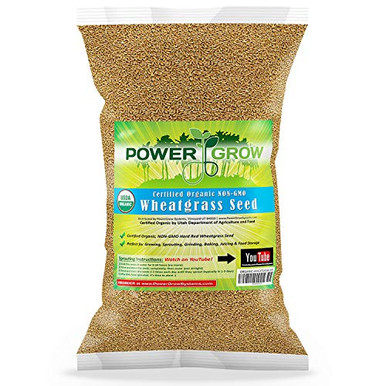 Organic Wheatgrass Seed - Certified USA Hard Red Wheat by PowerGrow -5 ...