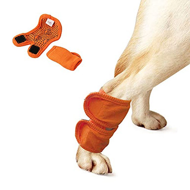 Tylu Dog Leg Brace Canine Knee Brace Front Leg Wraps Arthritis Support ...
