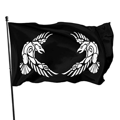 XIOJEIEY Viking Norse Wolf Raven Protection American Flag 3 X 5 ...