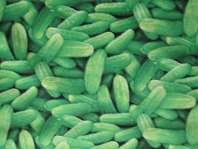Fat Quarter -18 x 22- Realistic Pickles Cucumbers Dill Gershin Pickle ...