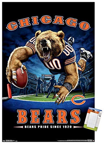 Trends International NFL Chicago Bears - End Zone 17 Wall Poster 14.725 ...