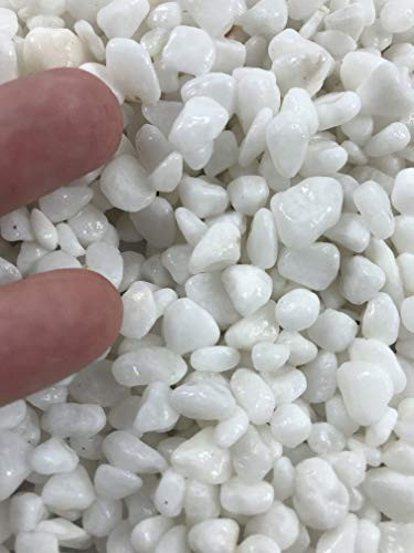 Voulosimi 12 Pounds Natural Decorative White Bean Pebbles Gravel River ...