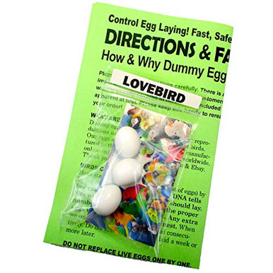 DummyEggs? USA Realistic LOVEBIRD Dummy Eggs Stop Laying 7-8"x3-4 ...