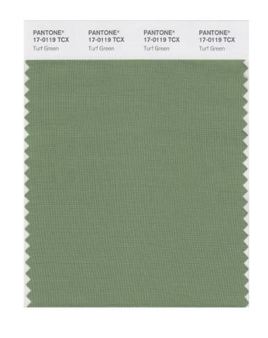 PANTONE Smart 17-0119X Color Swatch Card Turf Green - Warehousesoverstock