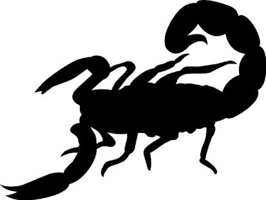 Scorpion Kids Boys Bed Room Picture Art - Peel and Stick Vinyl Wall ...