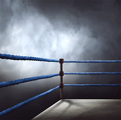 LFEEY 6x6ft Boxing Ring Corner Backdrop for Photos Squared Circle ...