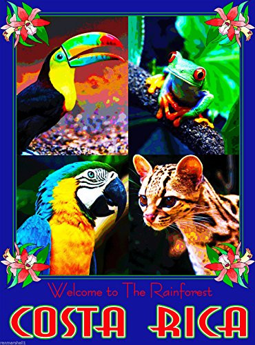 A SLICE IN TIME Costa Rica Welcome to Rainforest Central America Travel ...