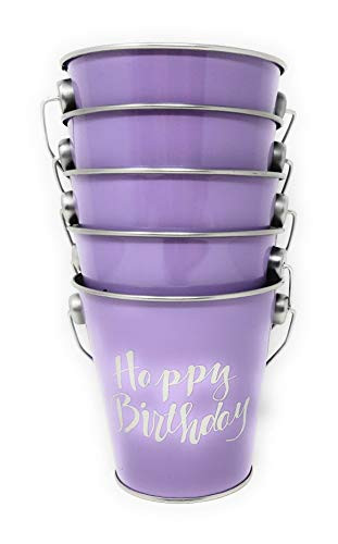 Mini Metal Pail Bucket Party Favors with Handles 5 Ct ~ Happy Birthday ...