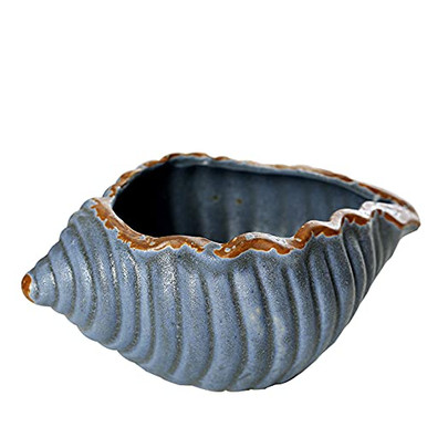 Plant Pots Conch Sea Shell Plant Pots Succulent Flowerpot Ceramic ...