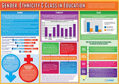 Gender Ethnicity and Class in Education | Sociology Posters | Laminated ...